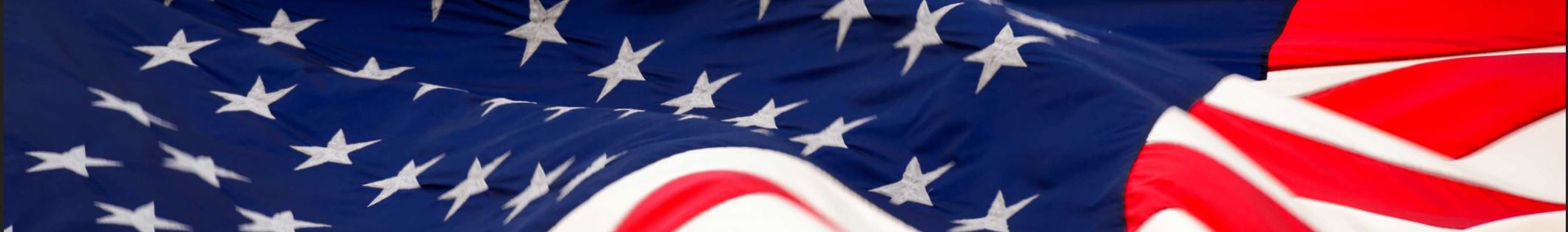 Two Veteran's Day Items - Thank You - Secure 1776